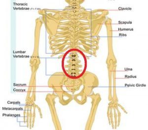 How To Know If You Have Lower Back Problems - Health Advisor