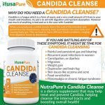 Symptoms of Yeast Overgrowth in Body - Health Advisor