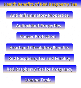 Benefits of Red Raspberry Tea - Health Advisor