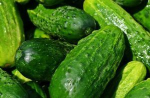 Silicon Deficiency in Humans - Health Advisor