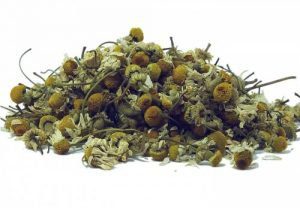 Festering Wound - Health Advisor