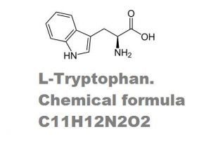 L-Tryptophan Foods - Health Advisor