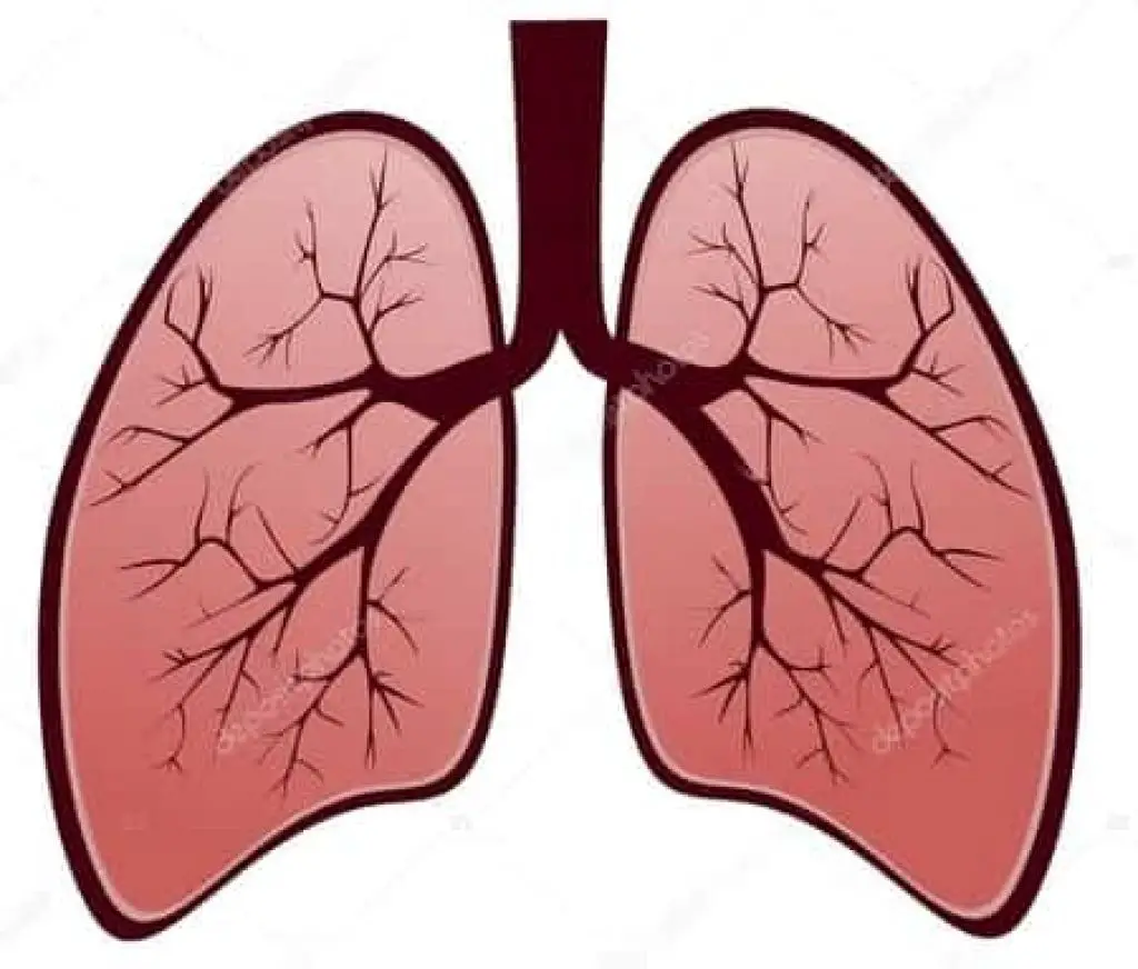 Hypercarbic Respiratory Failure: Causes, Symptoms, Treatment - Health ...