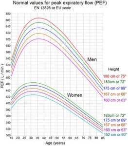 Normal PEF Range: Information and Chart - Health Advisor